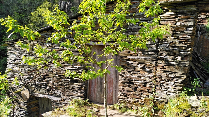 Magic Valley – Dive into the magic of nature